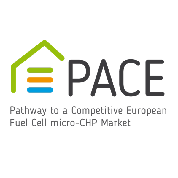 PACE Site Icon - PACE