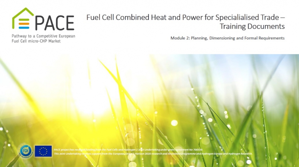 PACE reports and deliverables - PACE